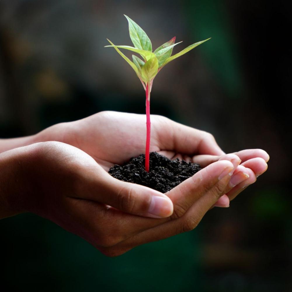 Annual Notice for Oregon's SEED Survey | North Marion School District OR